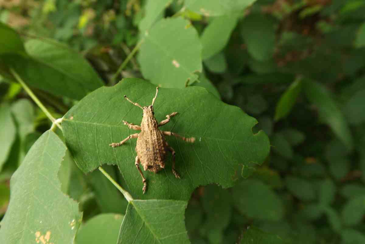 詳細検索：環境省