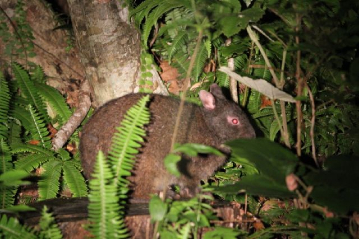 詳細検索：環境省
