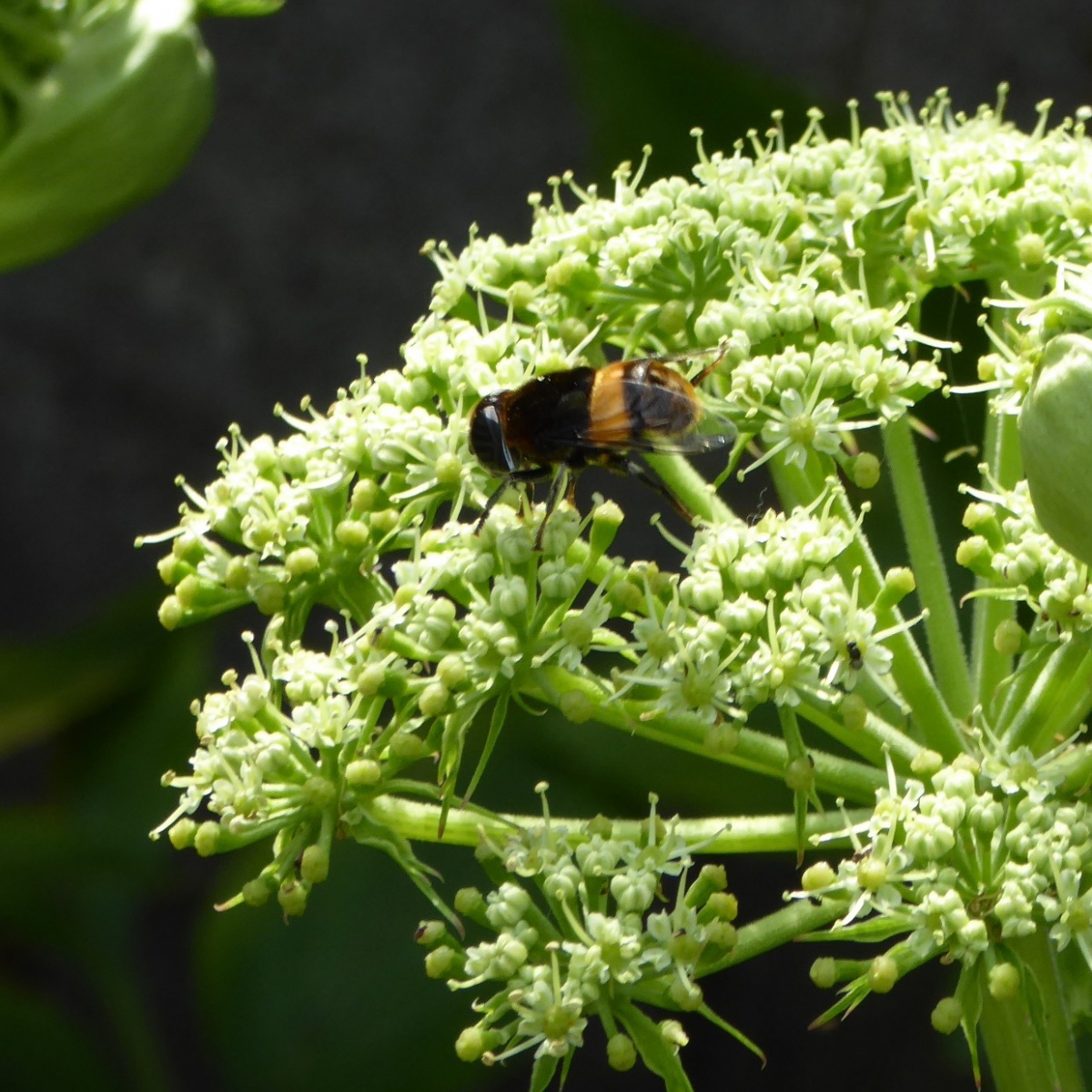 詳細検索：環境省