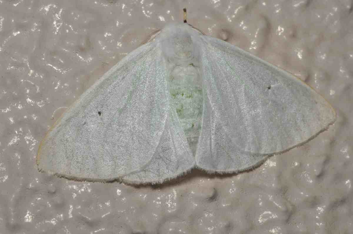 詳細検索：環境省