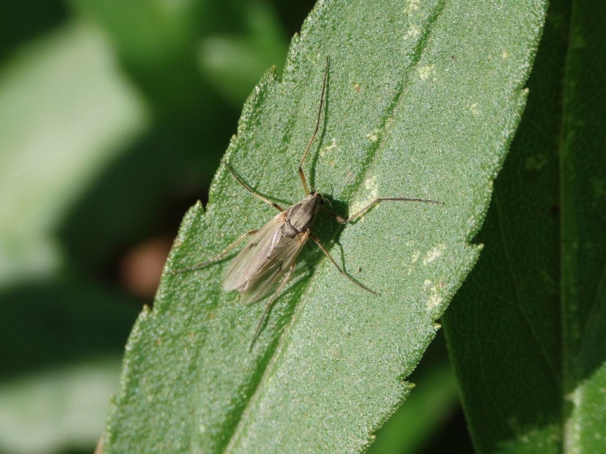 詳細検索：環境省