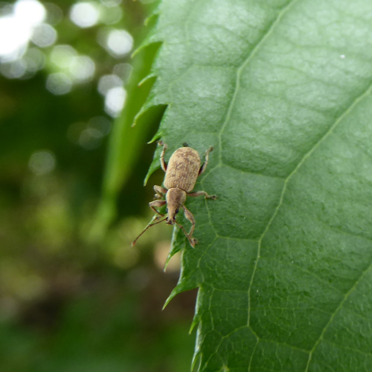 詳細検索：環境省