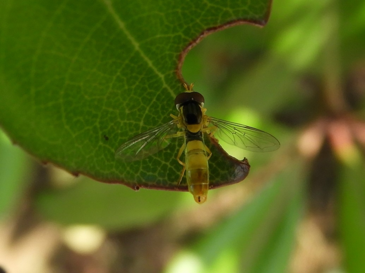 詳細検索：環境省