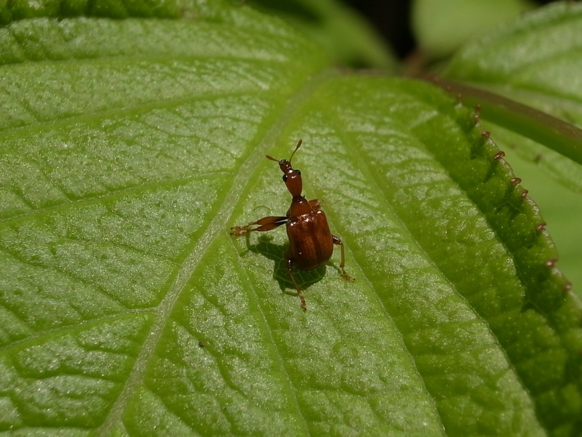 詳細検索：環境省