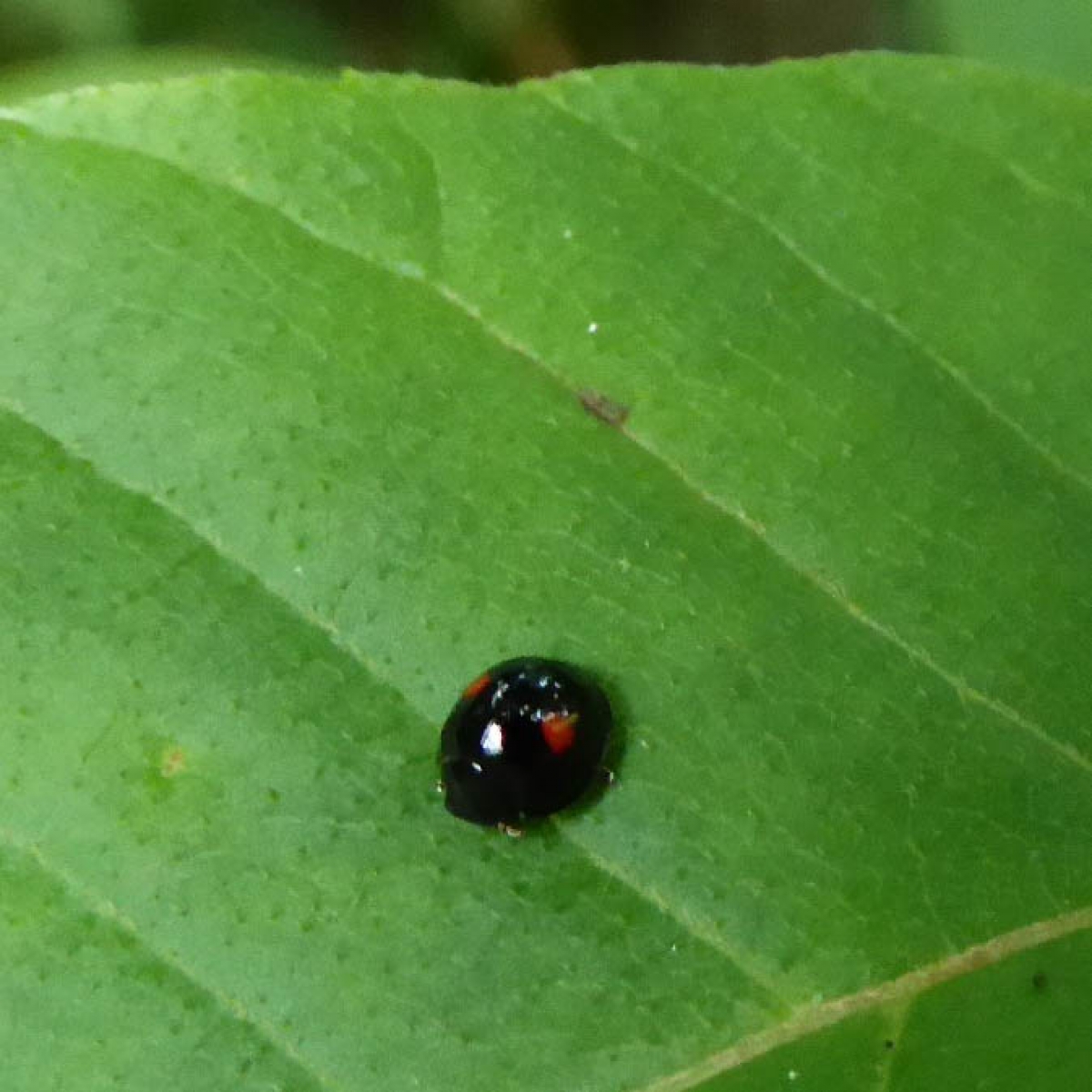 詳細検索：環境省