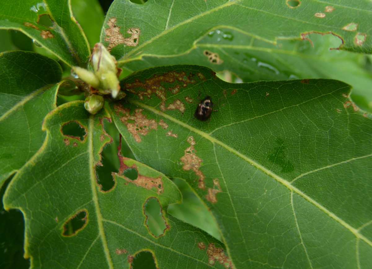 詳細検索：環境省