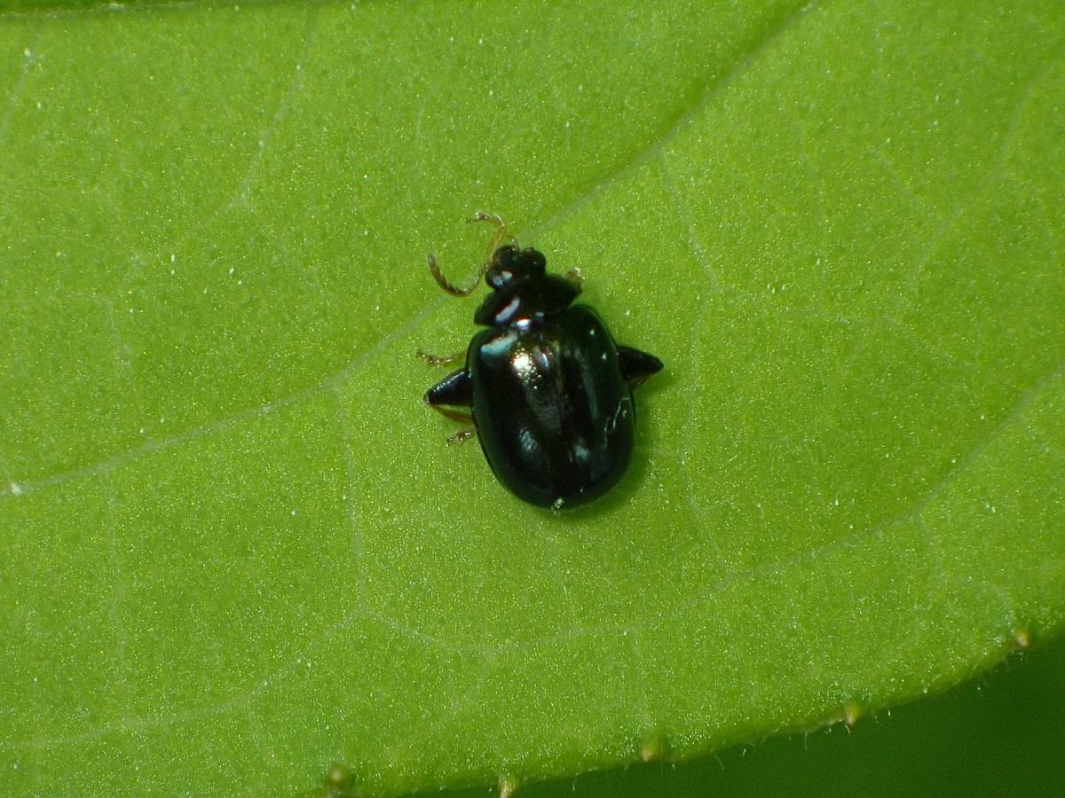 詳細検索：環境省