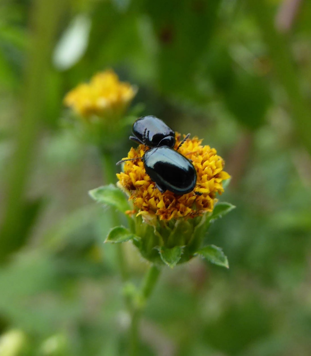 詳細検索：環境省