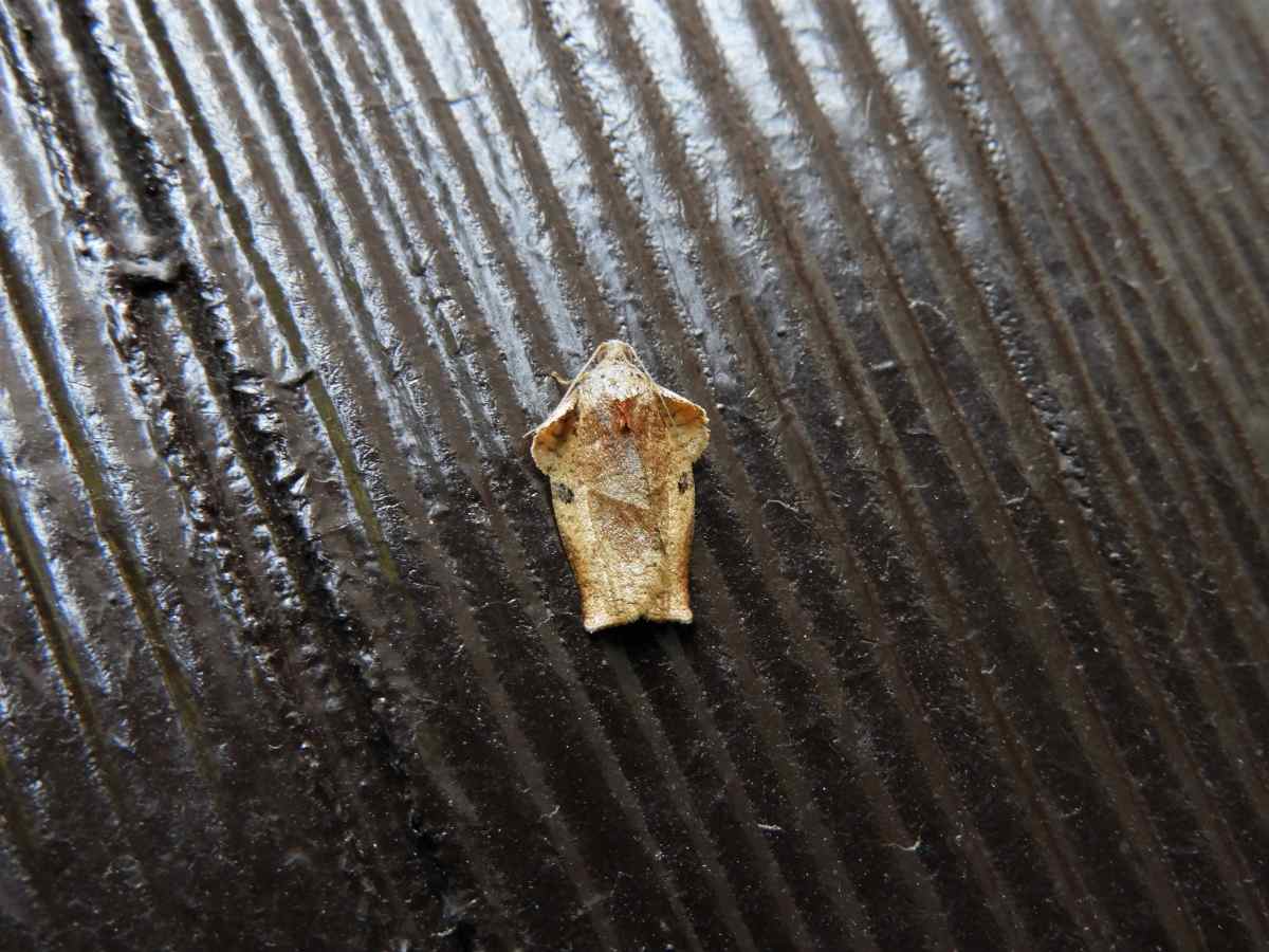 詳細検索：環境省