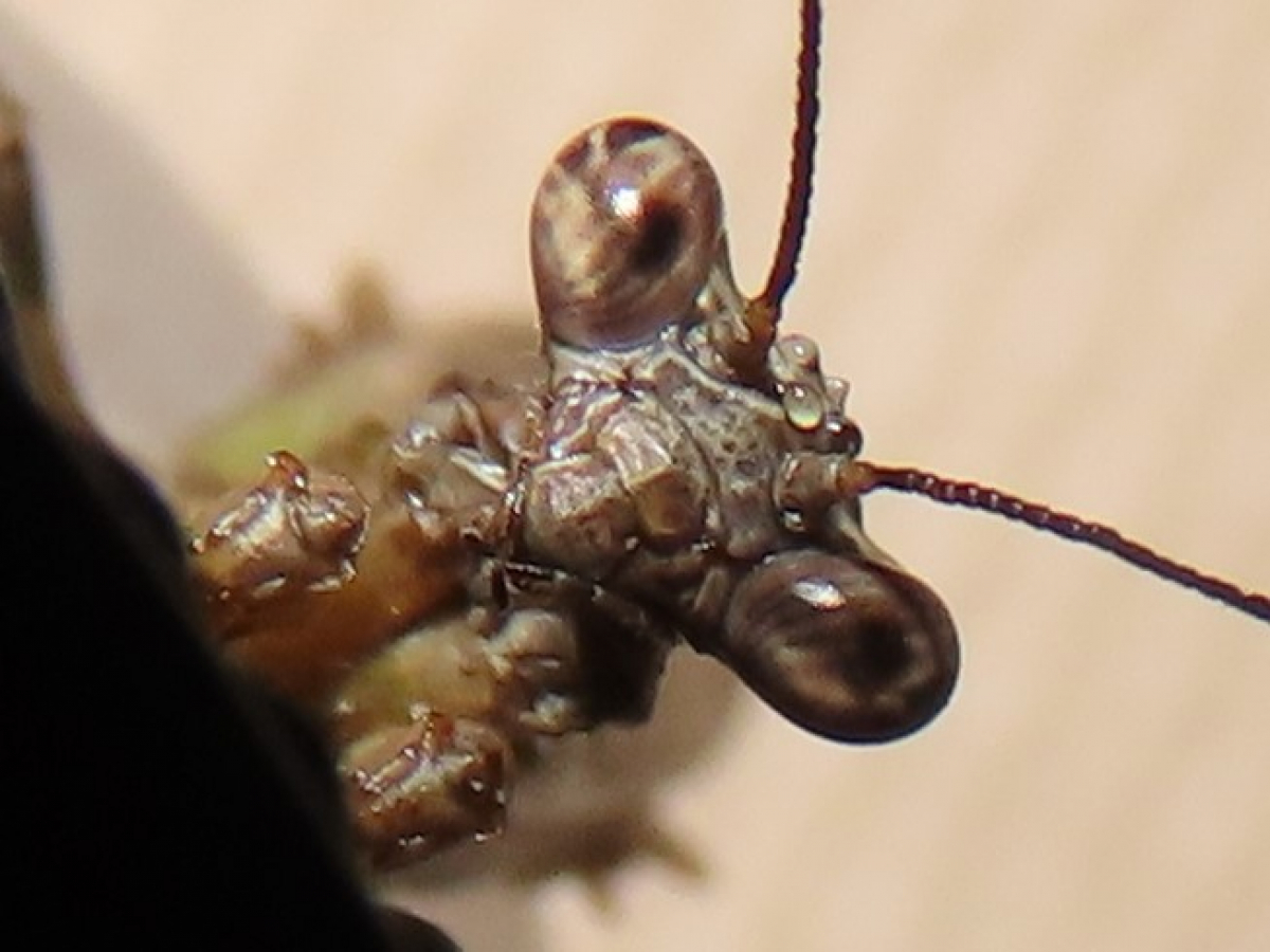 詳細検索：環境省