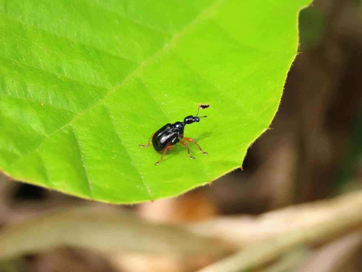 詳細検索：環境省