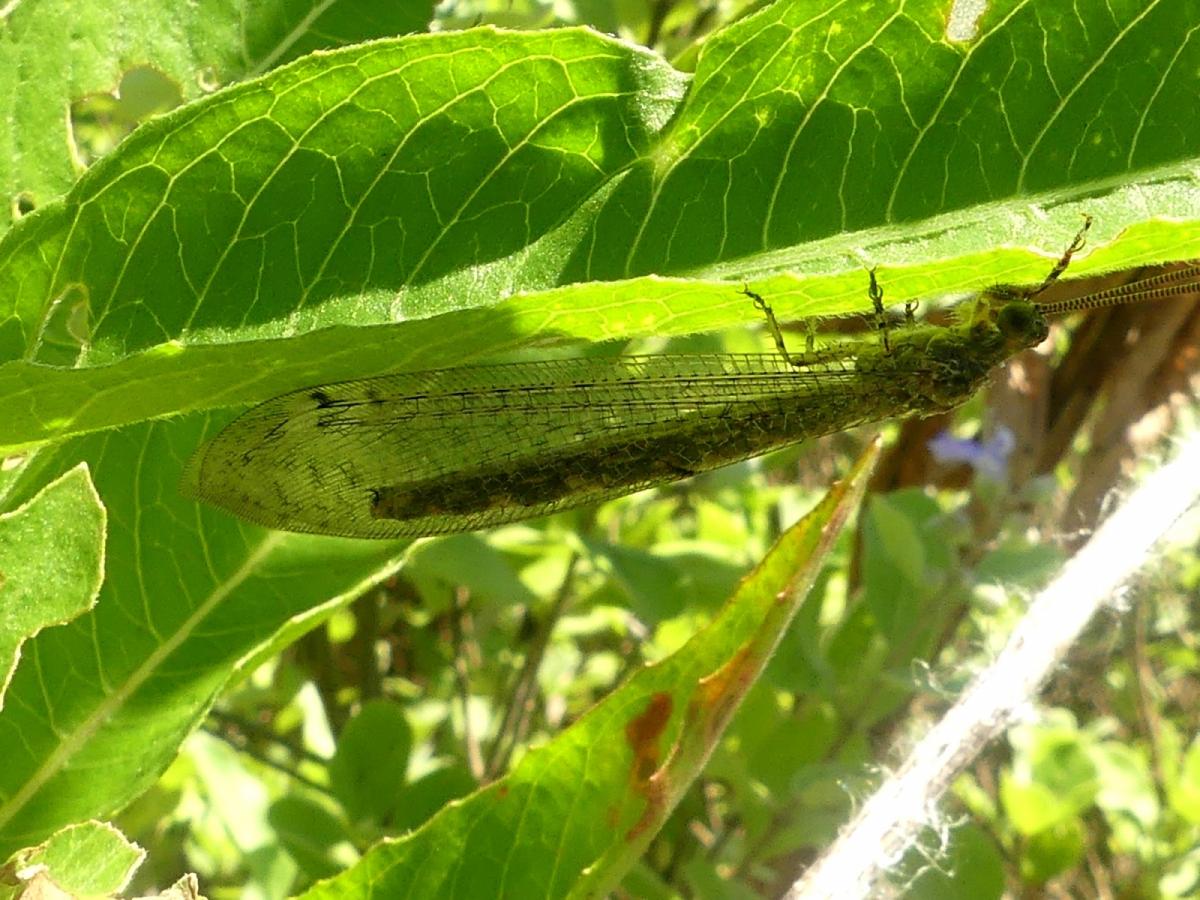 詳細検索：環境省
