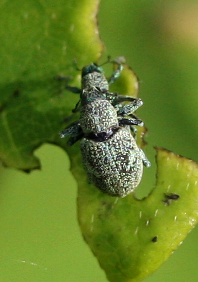 詳細検索：環境省