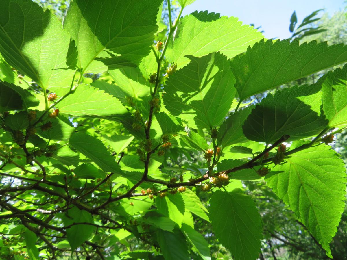 詳細検索：環境省