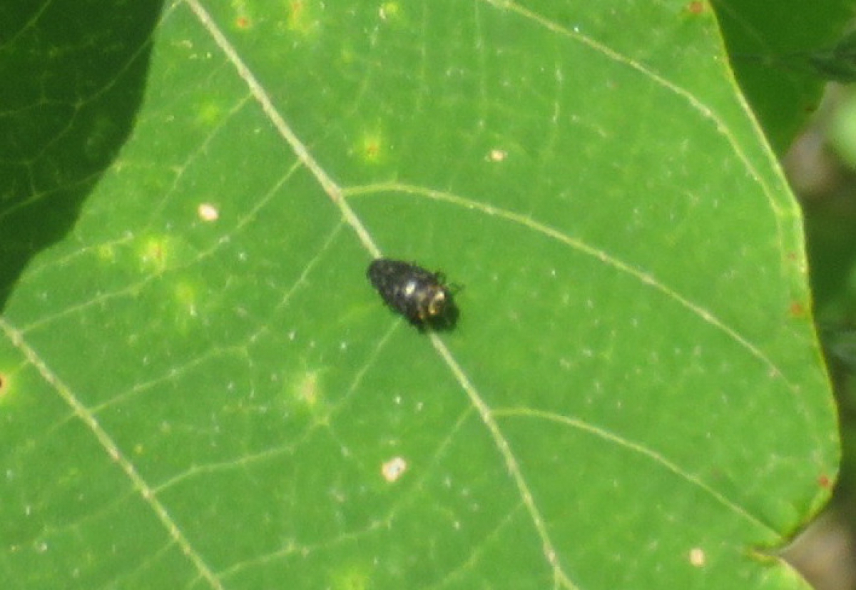 詳細検索：環境省