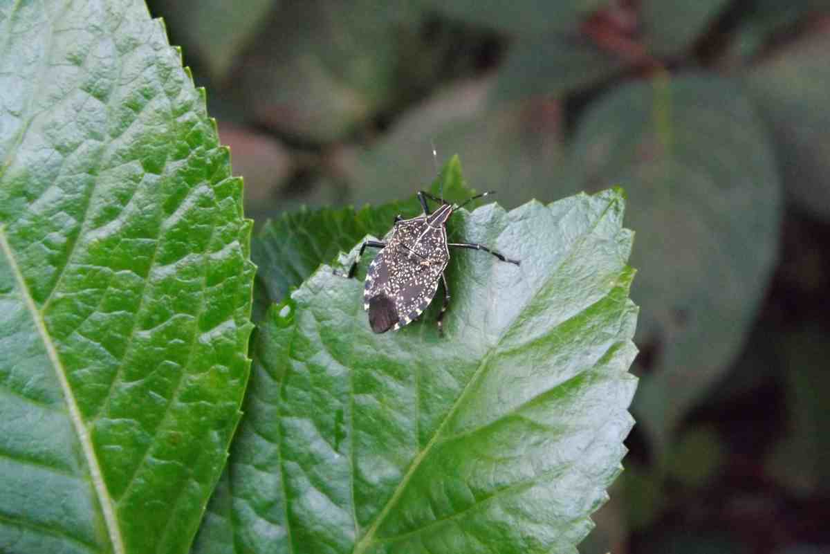 詳細検索：環境省