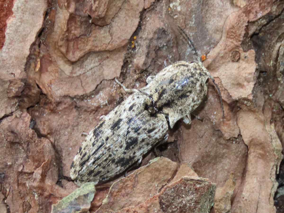 詳細検索：環境省