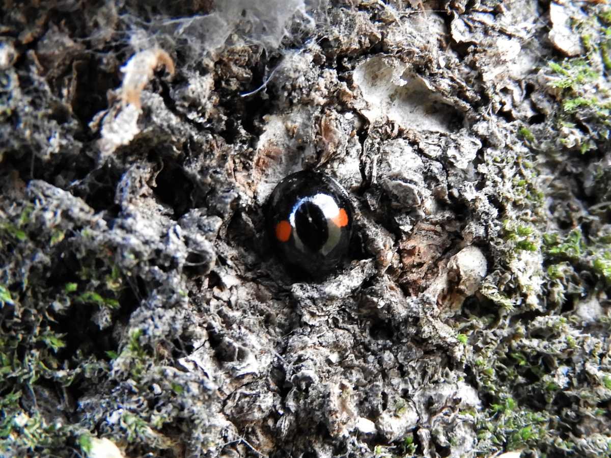 詳細検索：環境省