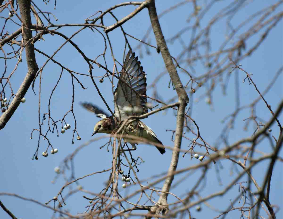 詳細検索：環境省