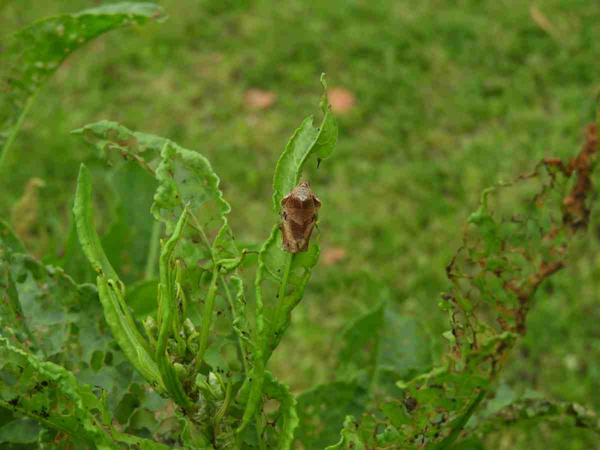 詳細検索：環境省