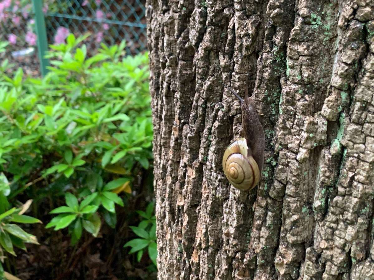 詳細検索：環境省