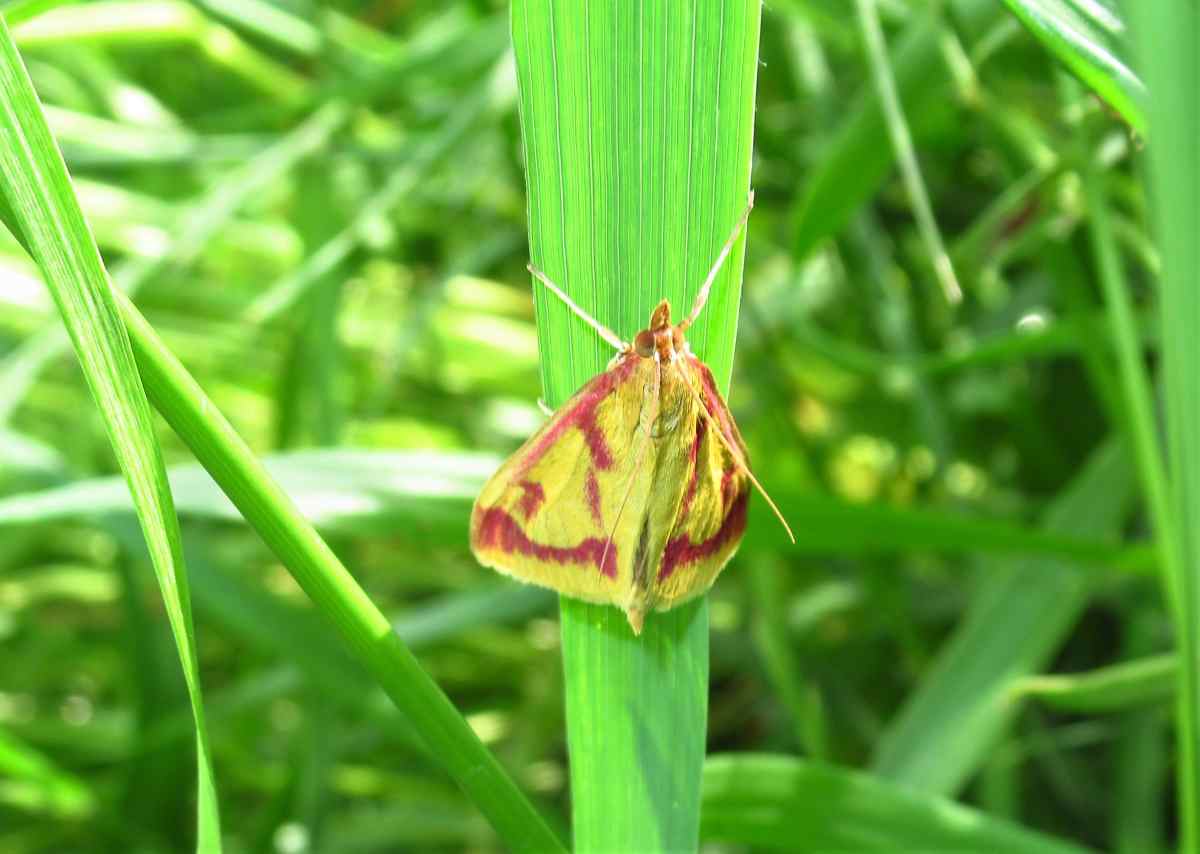 詳細検索：環境省