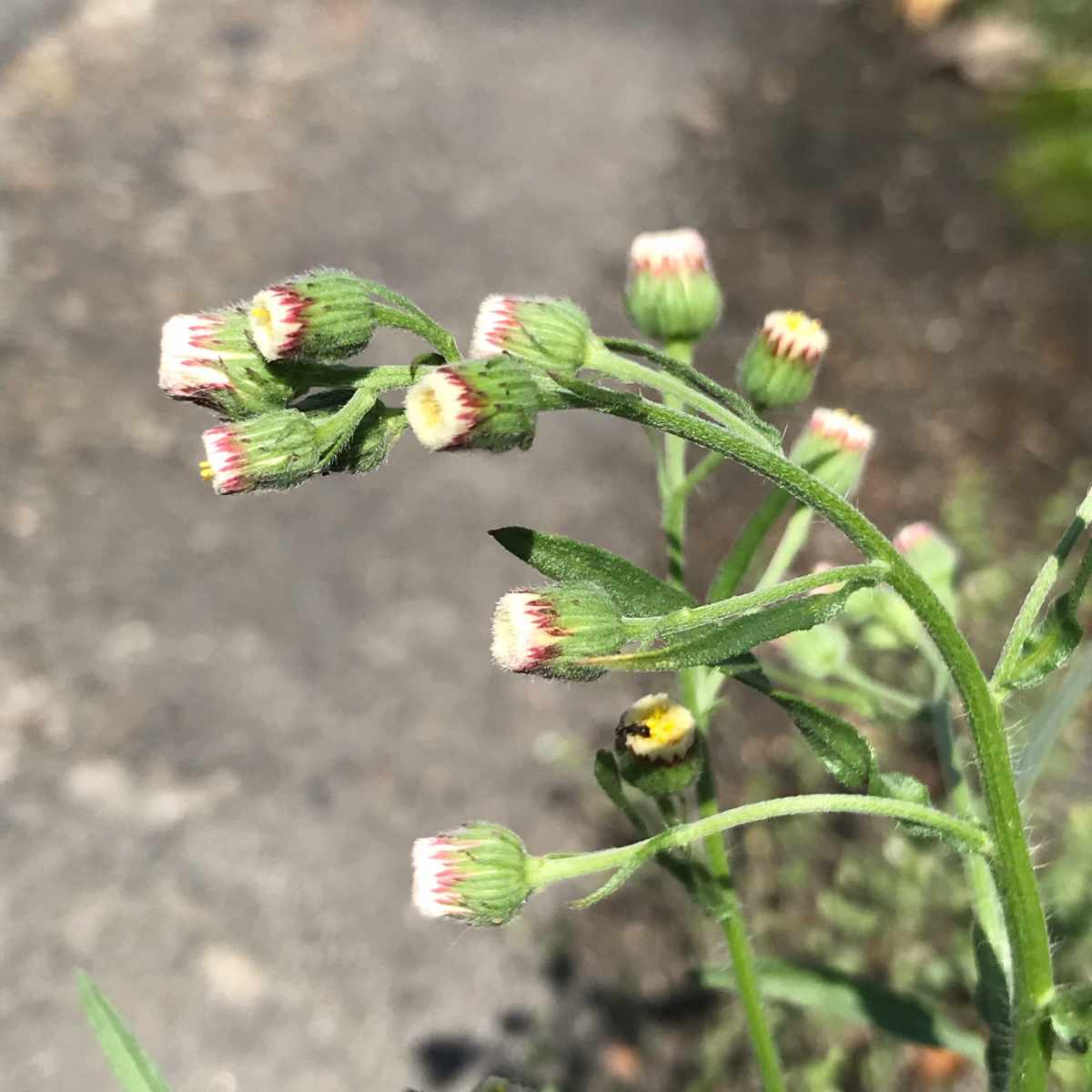 詳細検索：環境省