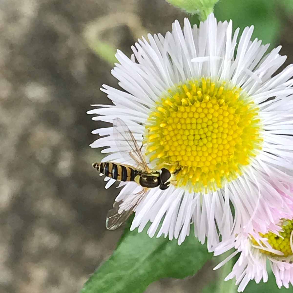 詳細検索：環境省