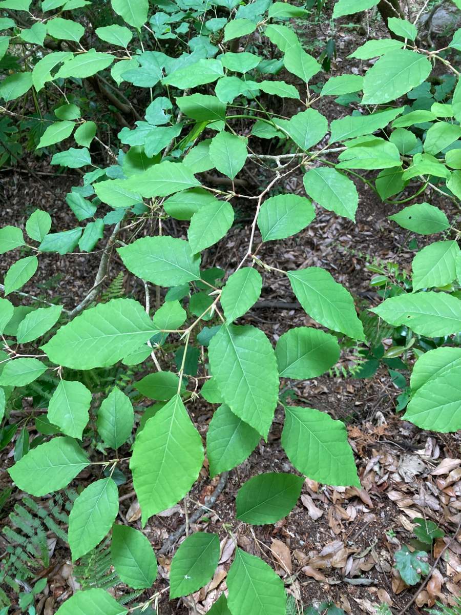 詳細検索：環境省