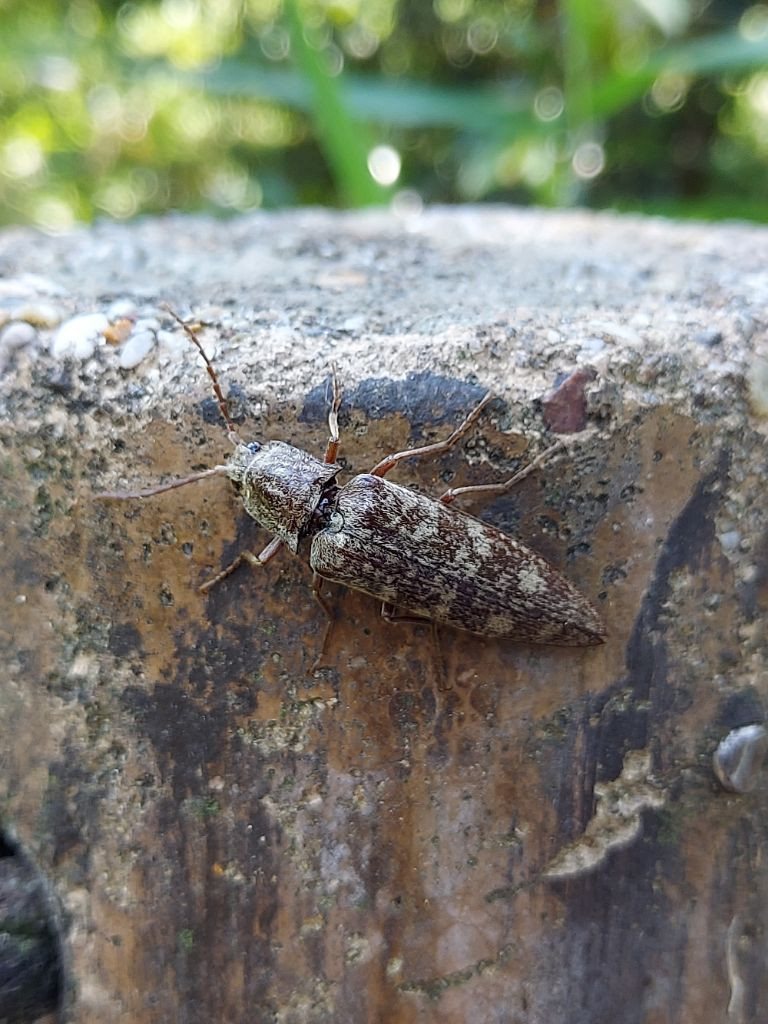 詳細検索：環境省