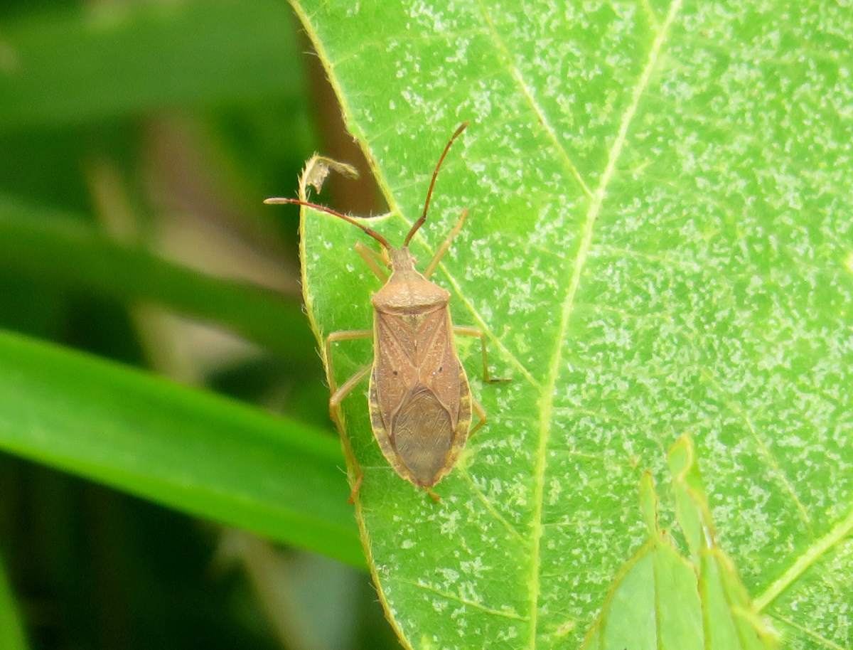 詳細検索：環境省
