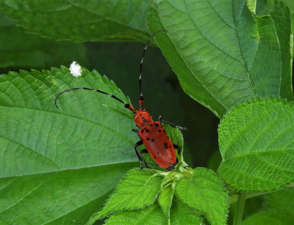 詳細検索：環境省