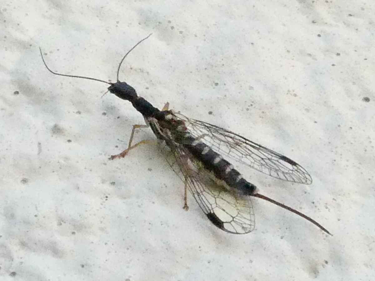 詳細検索：環境省