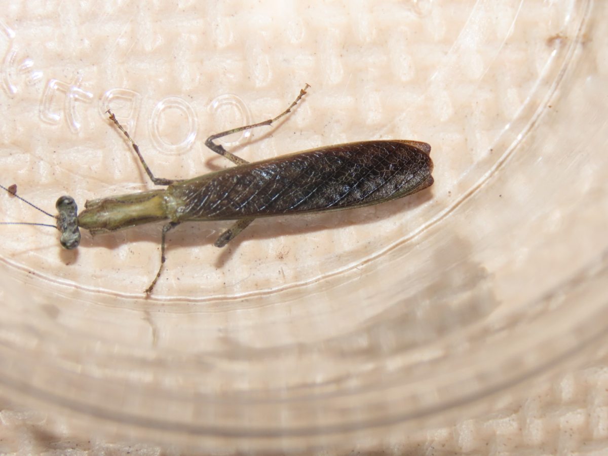 詳細検索：環境省