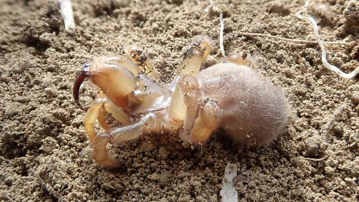 詳細検索：環境省