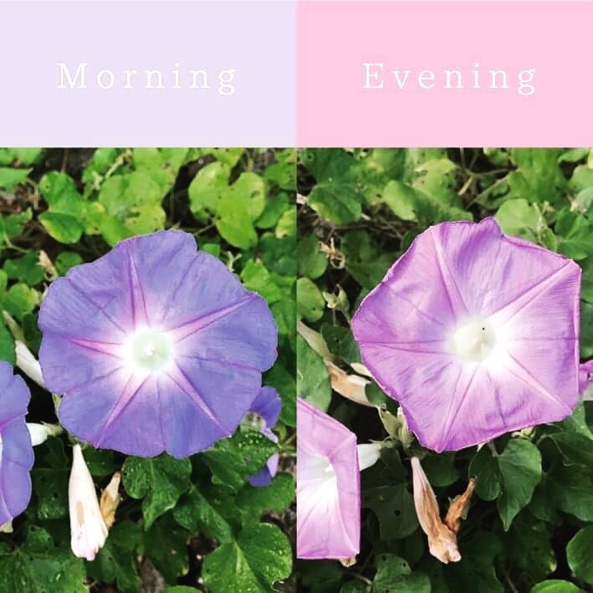 詳細検索：環境省