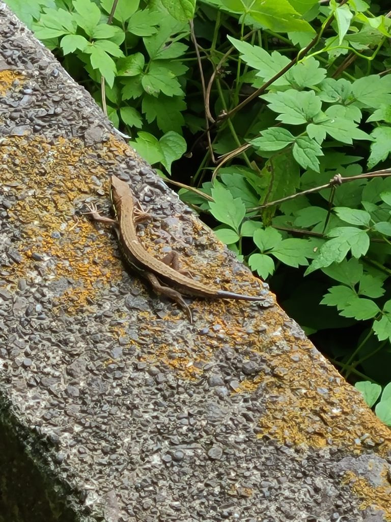 詳細検索：環境省