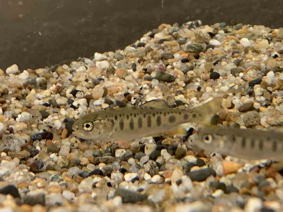 詳細検索：環境省