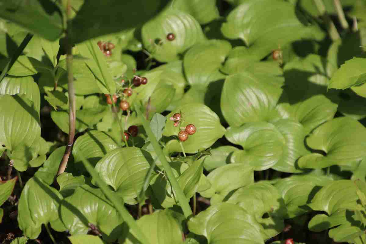 詳細検索：環境省