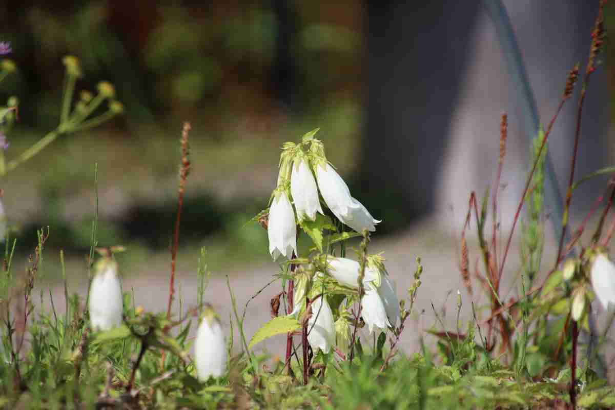 詳細検索：環境省
