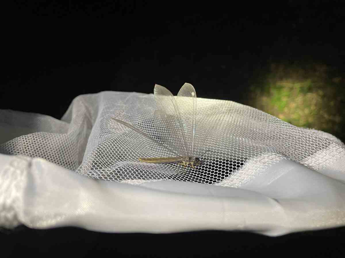 詳細検索：環境省