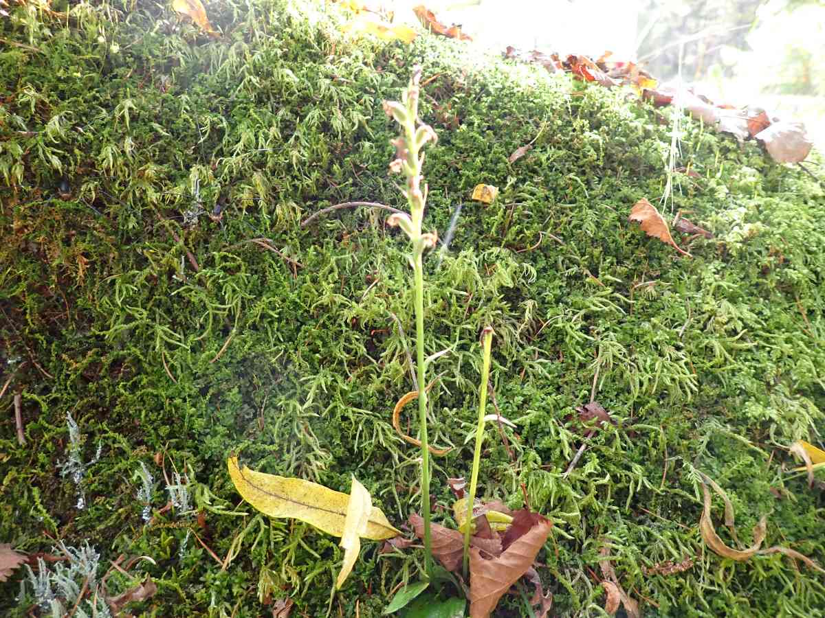 詳細検索：環境省