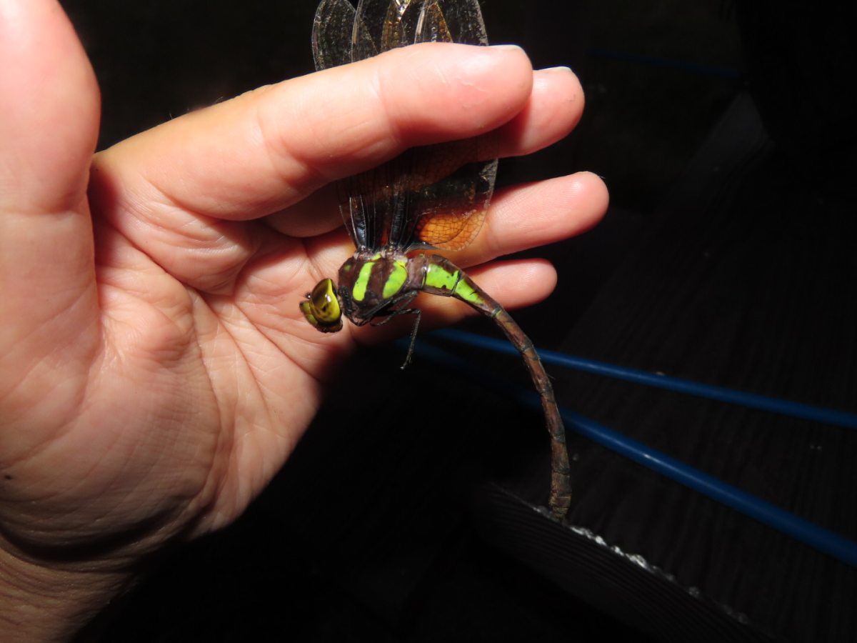 詳細検索：環境省