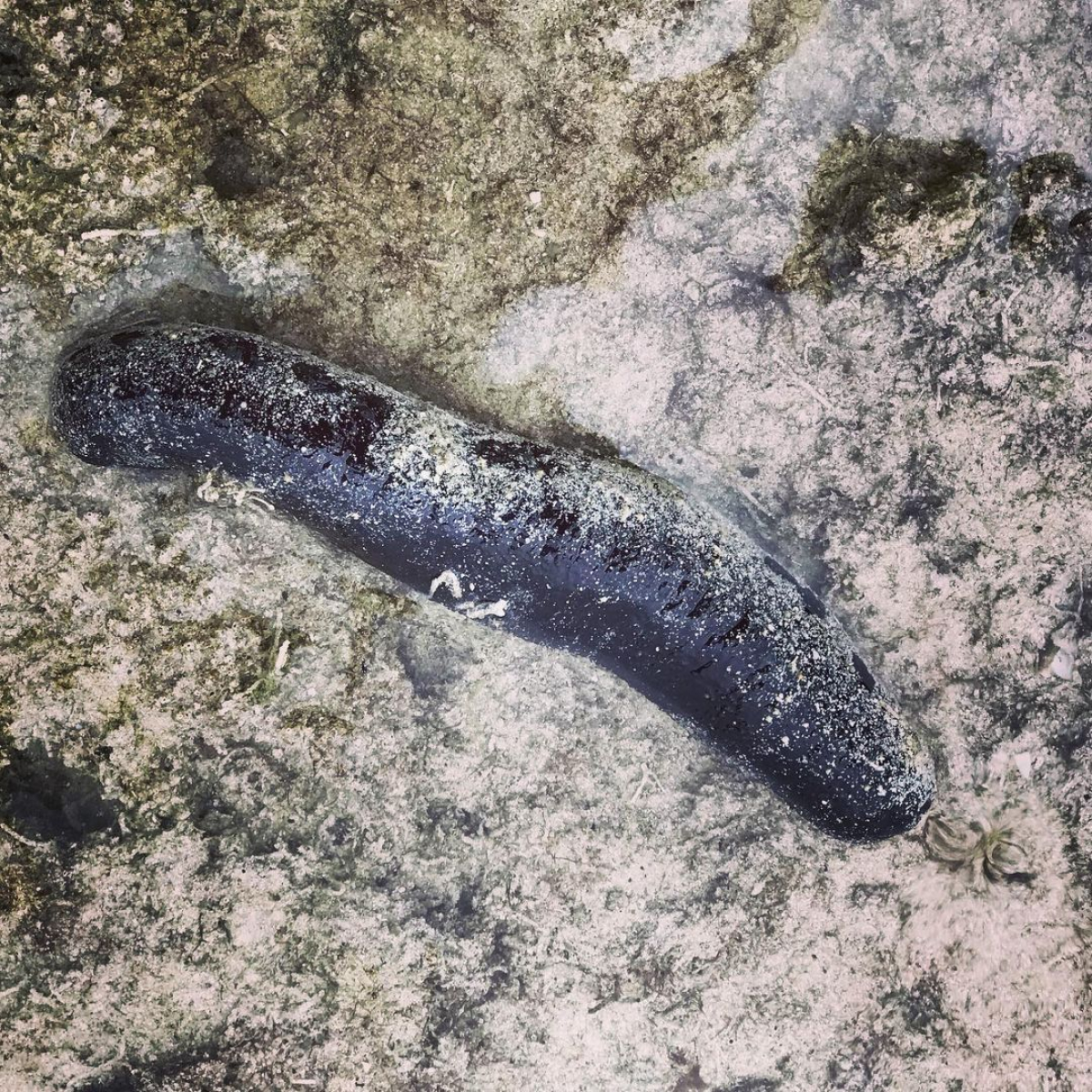 詳細検索：環境省