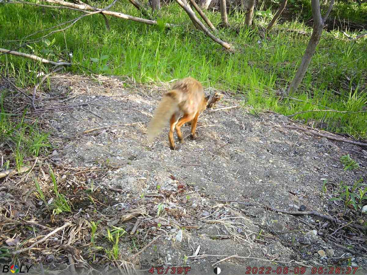 詳細検索：環境省