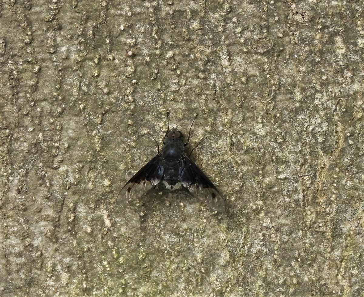 詳細検索：環境省