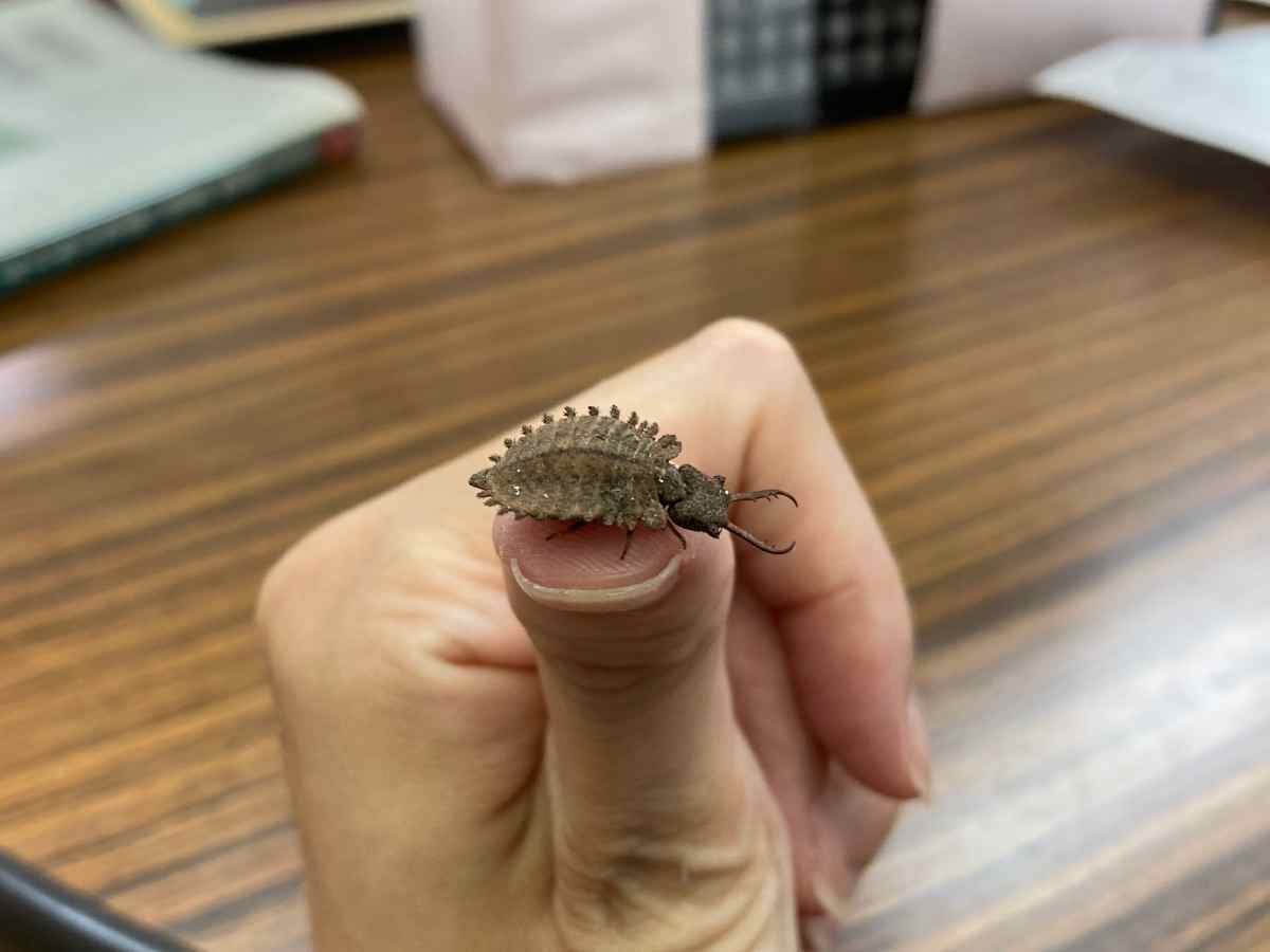 詳細検索：環境省