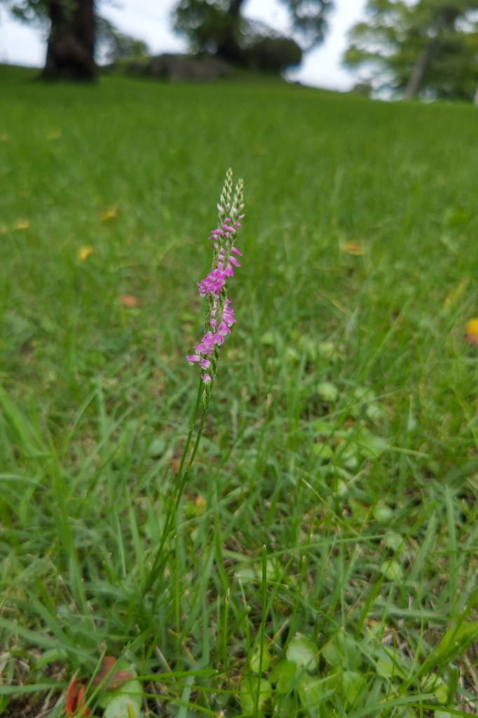 詳細検索：環境省