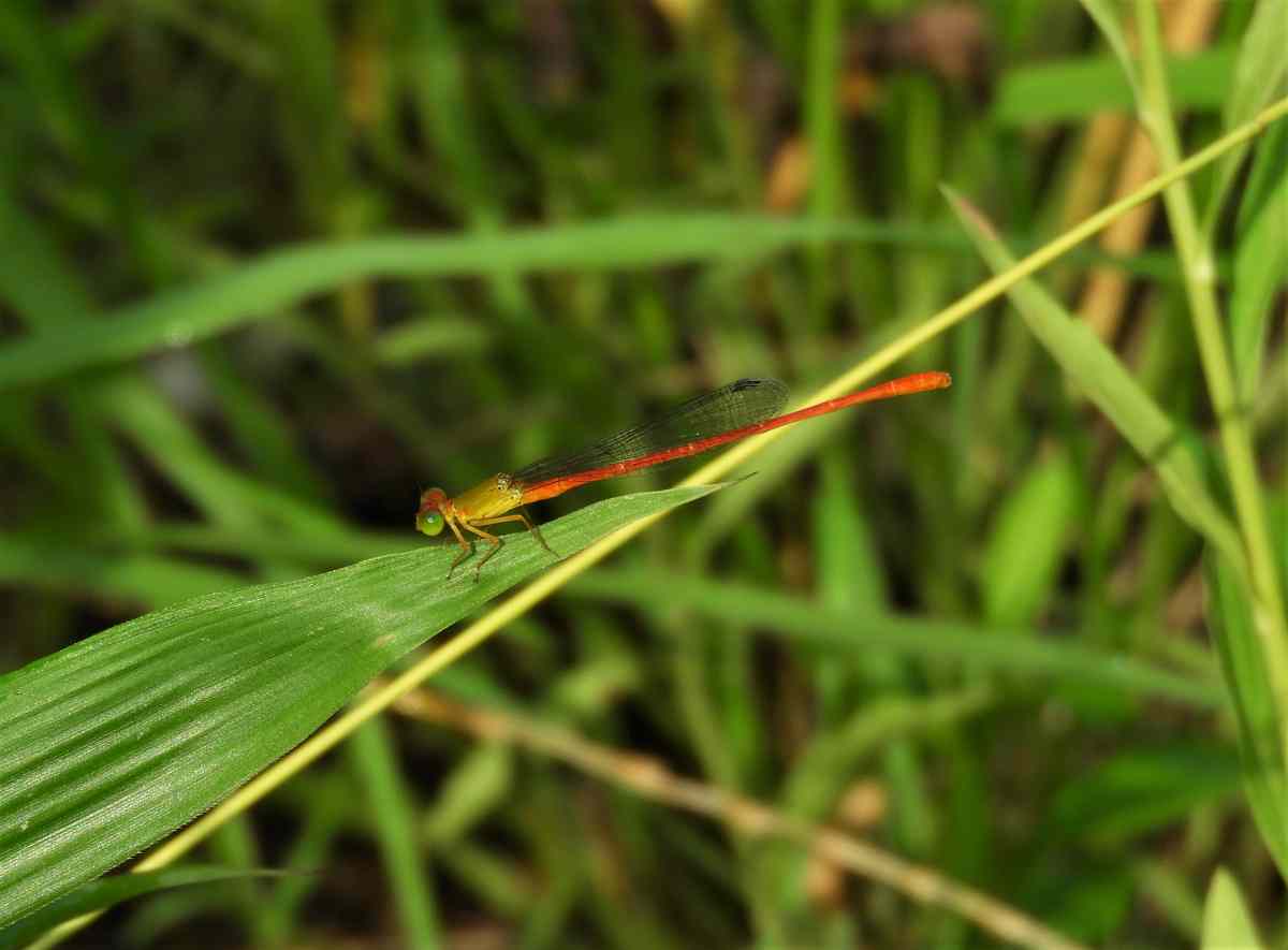 詳細検索：環境省