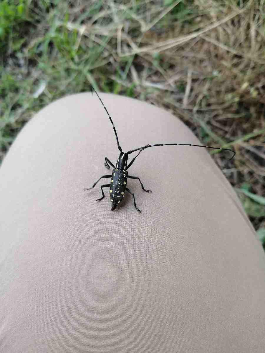 詳細検索：環境省